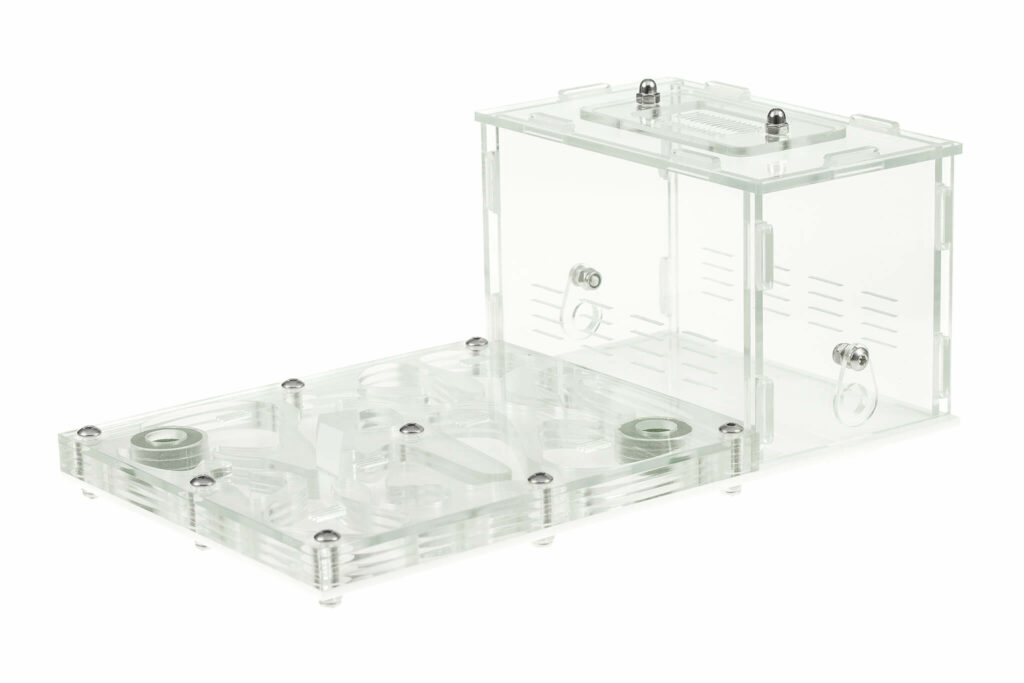 Mini arena for ants – AntSatan