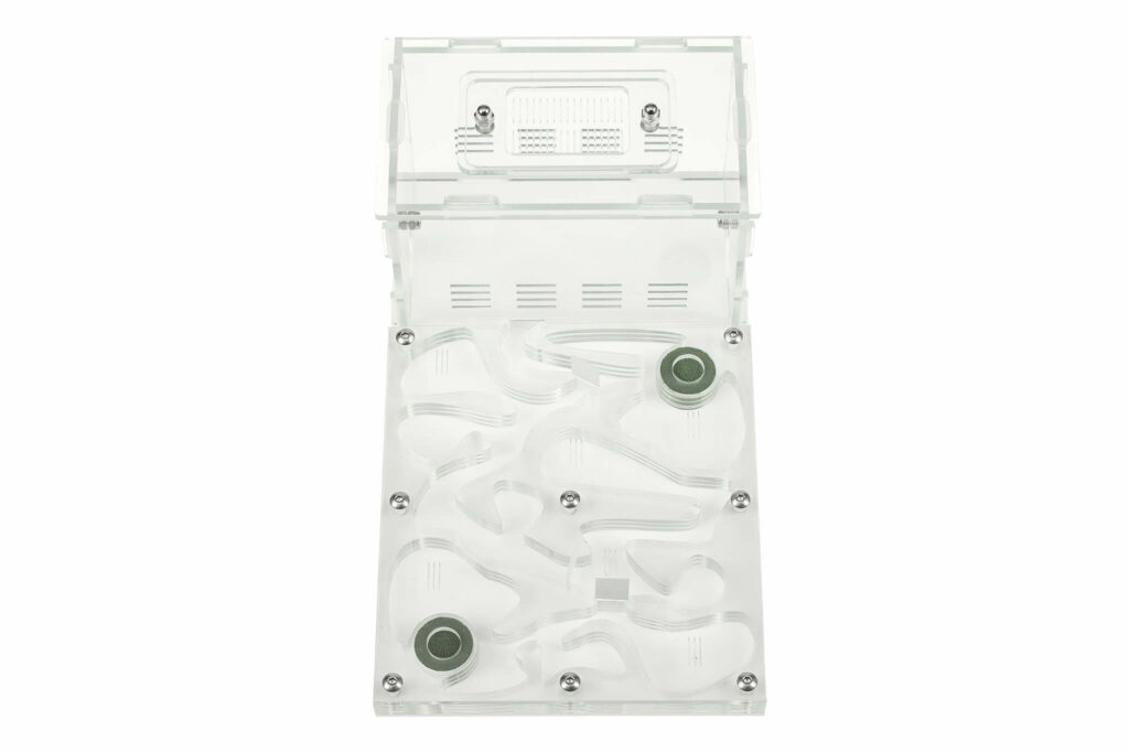 Mini arena for ants – AntSatan