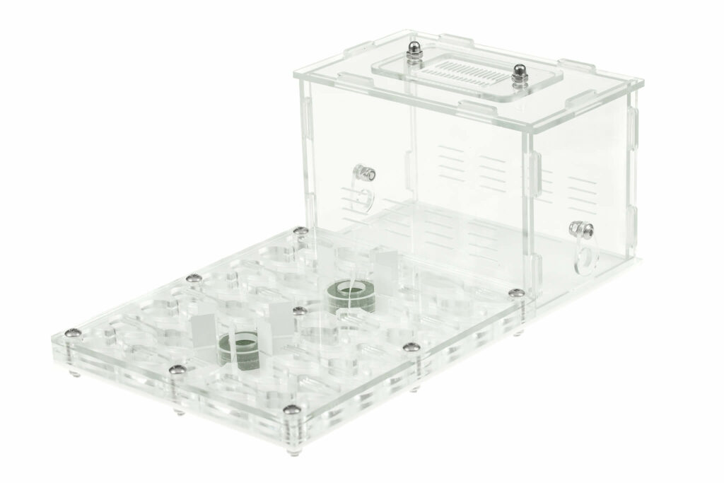 AntSatan – We have great ants for You :)