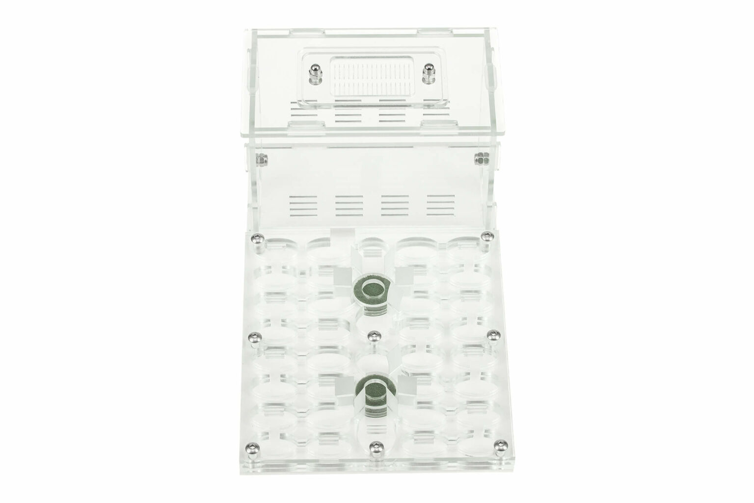 Mini arena for ants – AntSatan