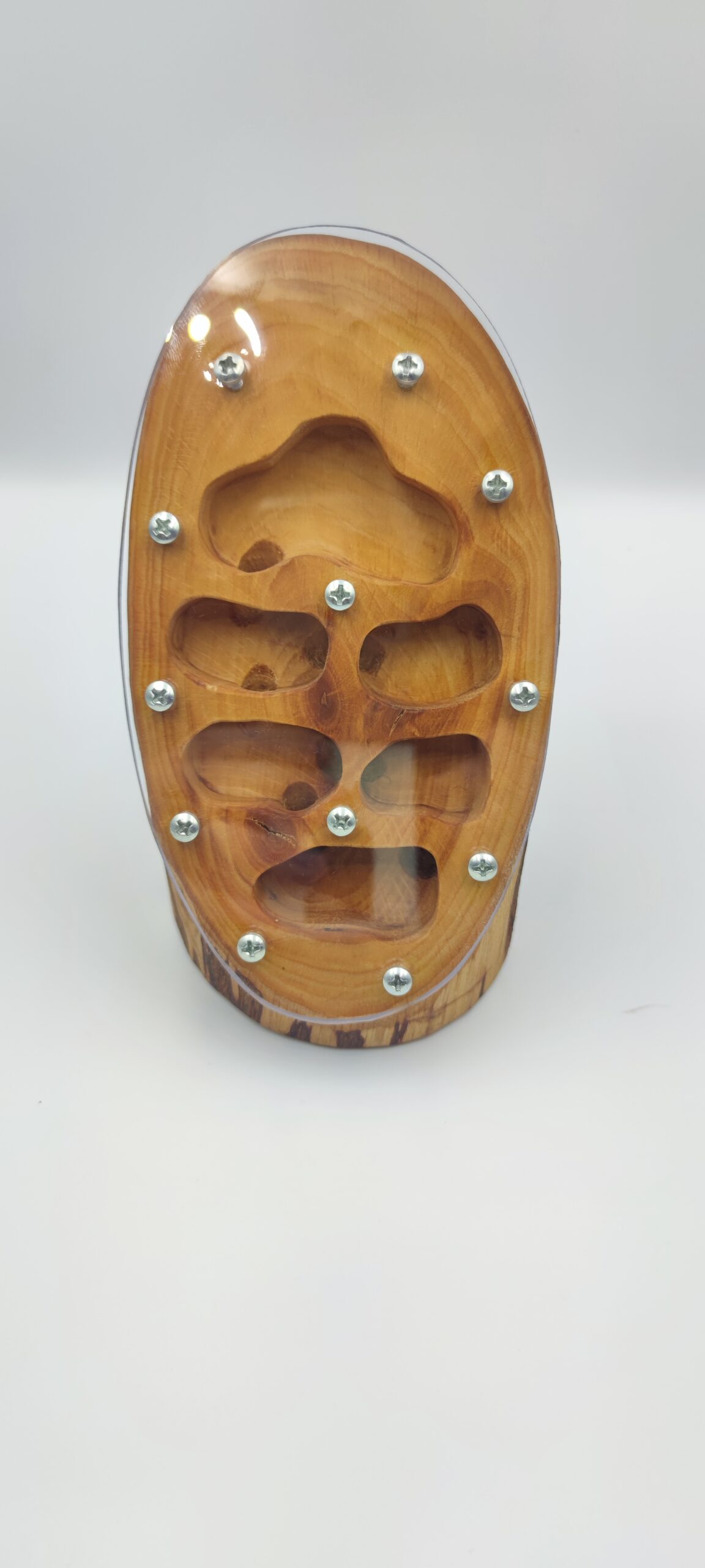 Wooden Nest Alder 37 AntSatan