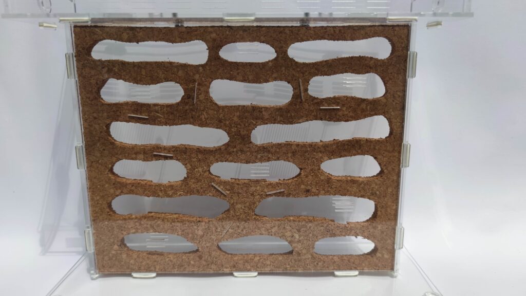 Cork formicarium “T” XL – nest with arena – AntSatan