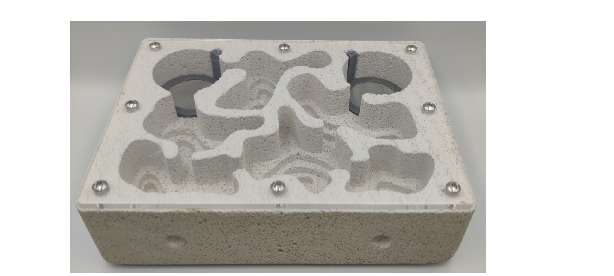 AntSatan – We have great ants for You :)