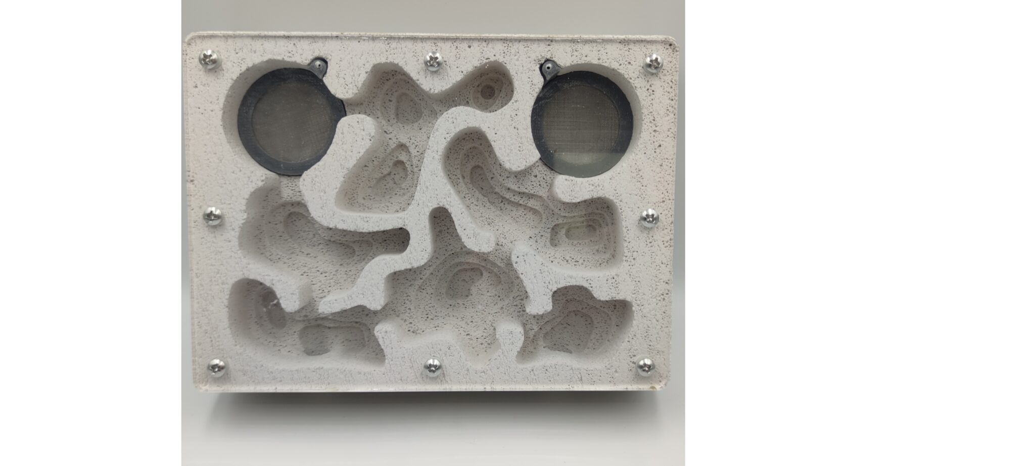 AntSatan – We have great ants for You :)