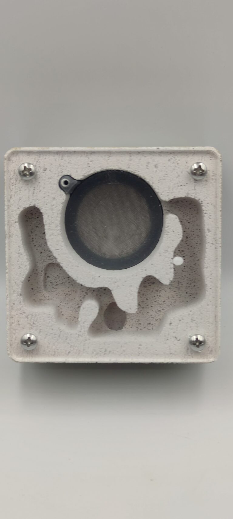 AntSatan – We have great ants for You :)